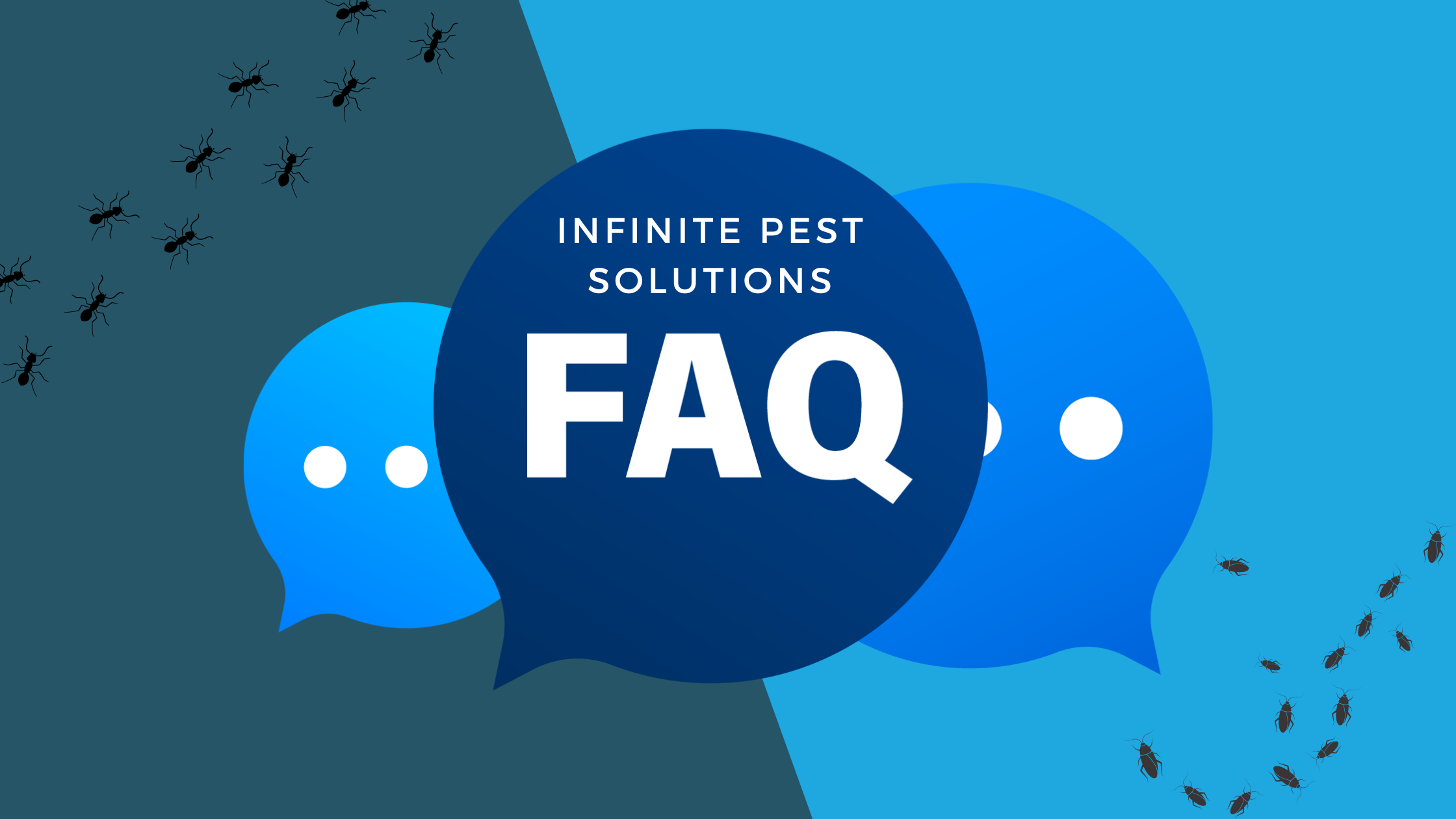 About Pest Control Faq How To Answer General Pest Control Questions In