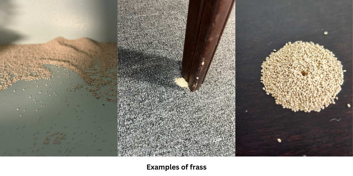 What Do Termite Droppings Look Like?